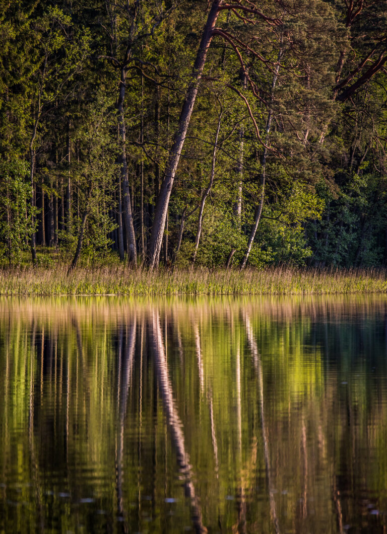 Puszcza Piska Forest - Poland Soul Travel - Wir laden Sie nach Polen im ...